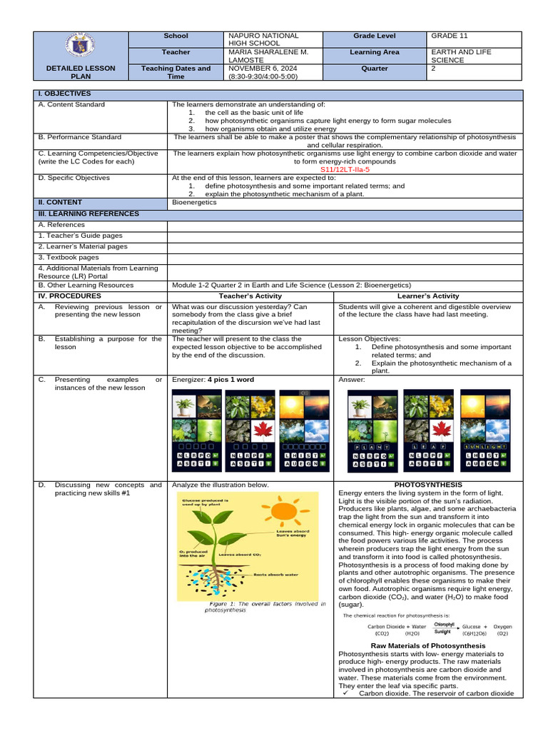 DLP-Q2 - Bioenergetics 2 | PDF | Photosynthesis | Plants