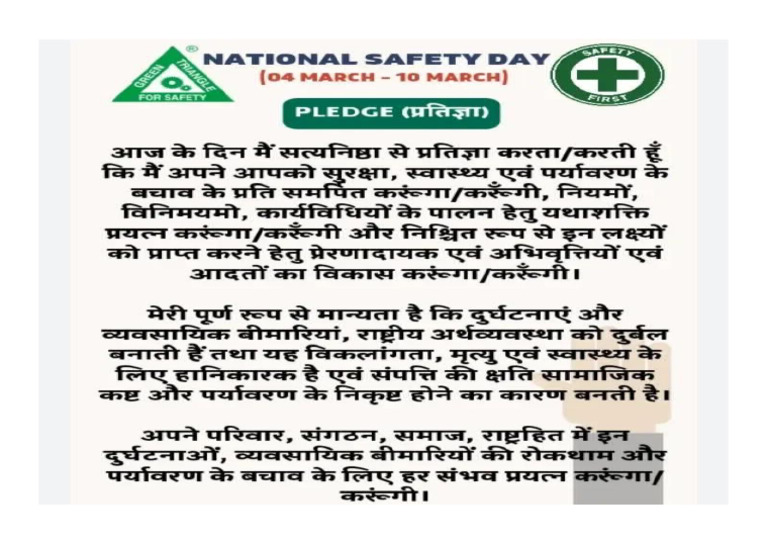 Safety Pledge | PDF