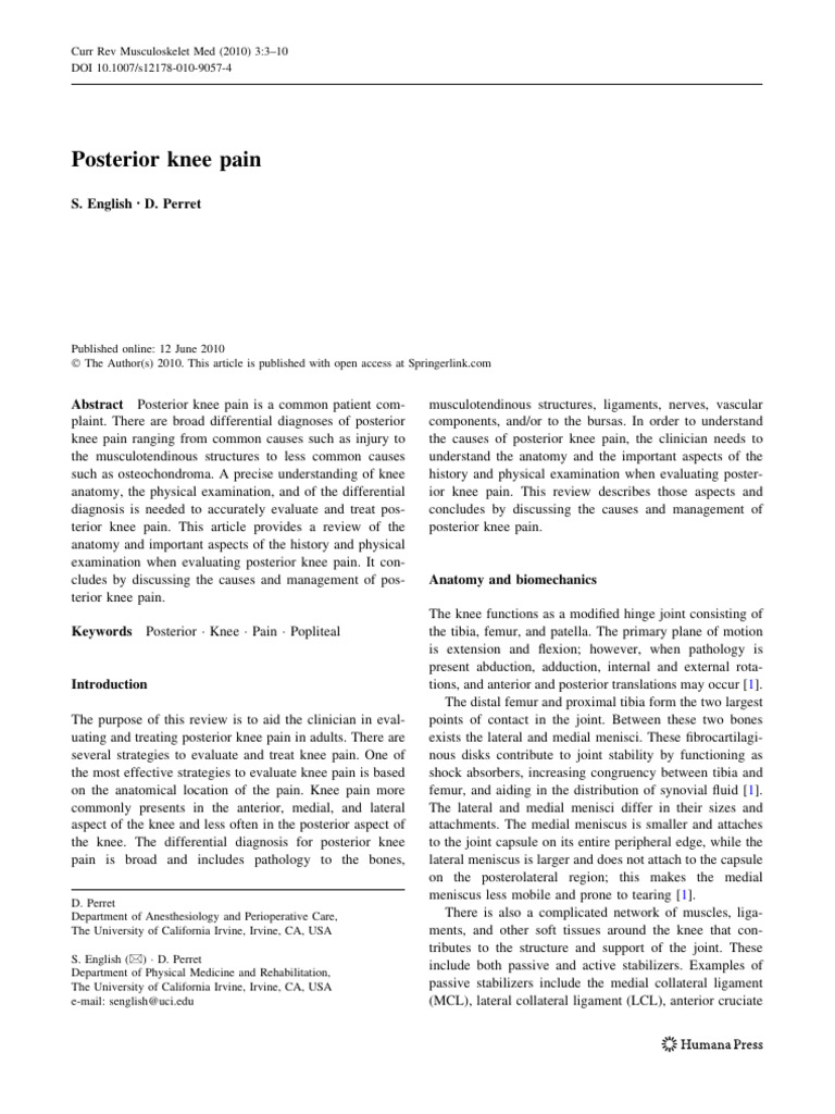 Posterior Knee Pain | PDF | Knee | Joints