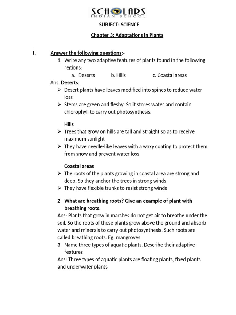 Grade 4 Adaptations of Plants Notes | PDF | Plants | Leaf