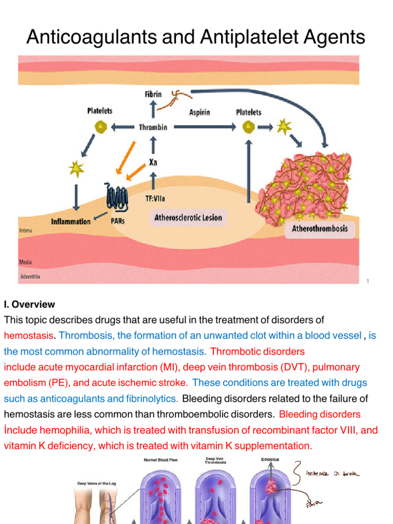 7 Anticoagulant and Antiplatelet Drugs | PDF
