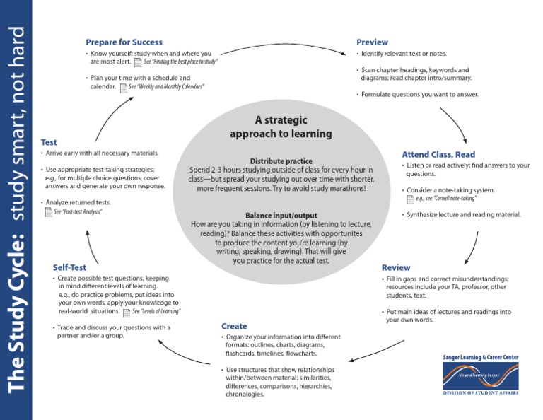 Study Cycle | PDF | Teaching | Pedagogy