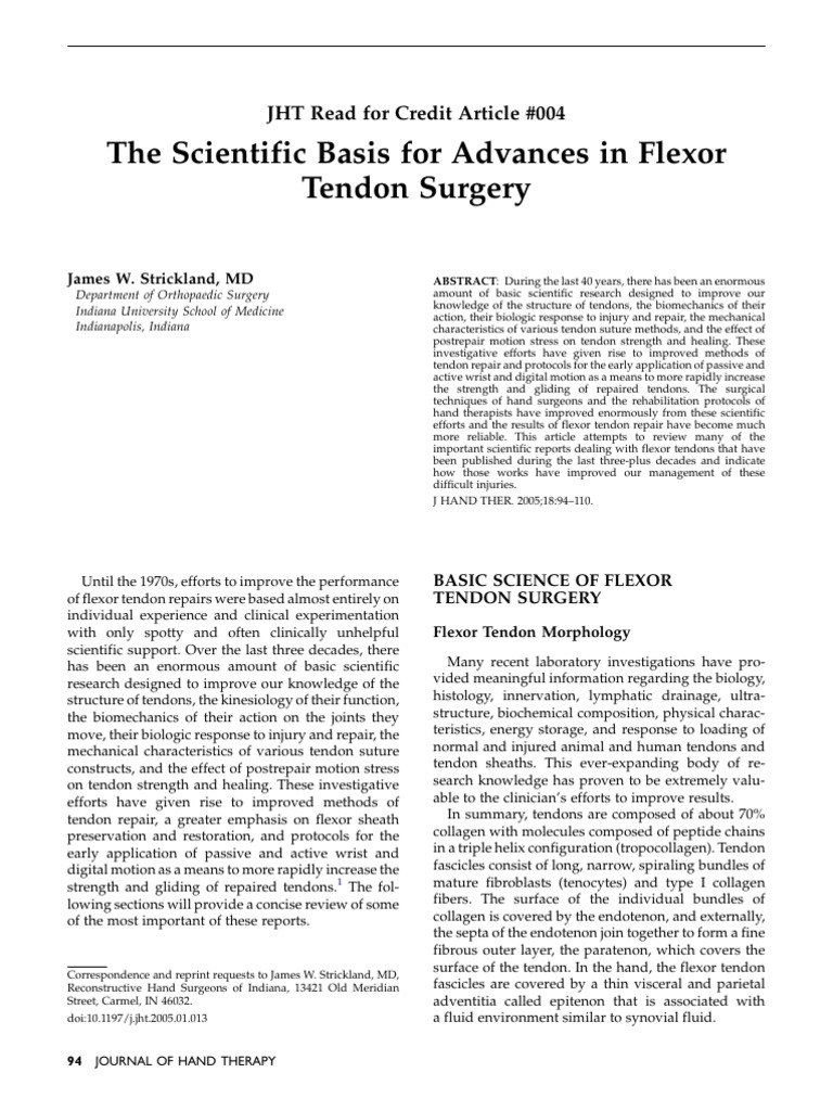 Scientific Basis For Advances in Flexor Tendon Surgery - Tendon Healing ...