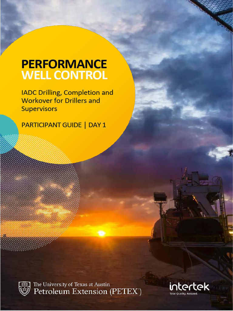 WSP PWC Participant Guide | PDF | Business | Computers