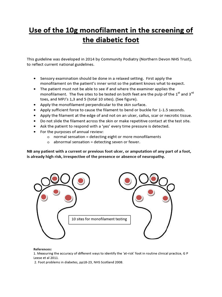 10g Monofilament Diabetic Foot Screening | PDF