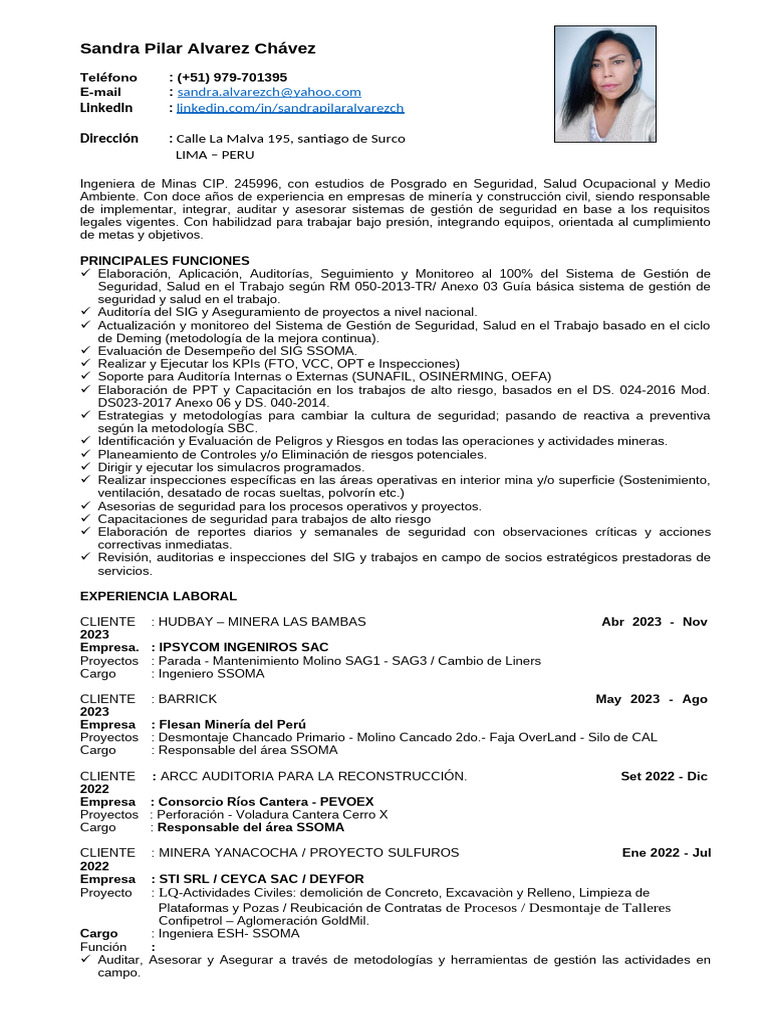 Perfil Profesional de Sandra Pilar Álvarez | PDF | Minería | Business
