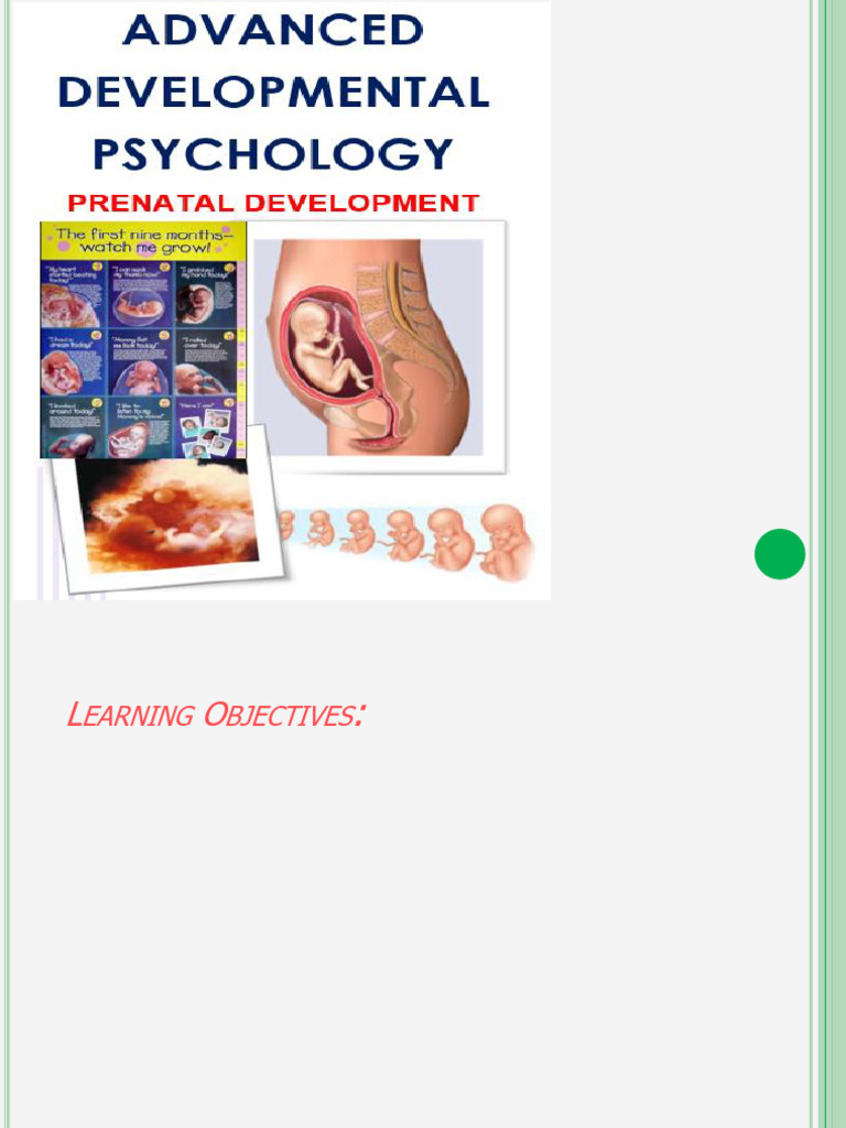 Prenatal Development: Key Stages & Hazards | PDF | Fetus | Pregnancy