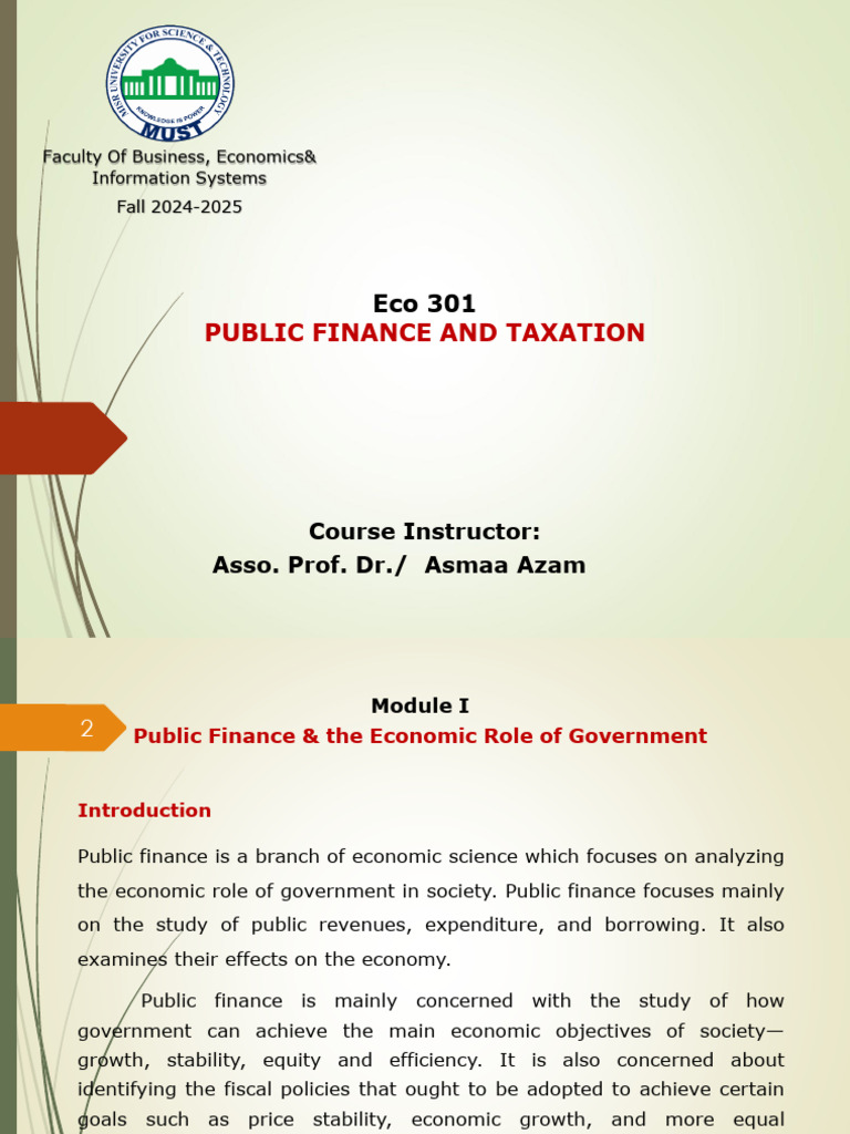 Public Finance & Gov't Role | PDF | Public Finance | Taxes