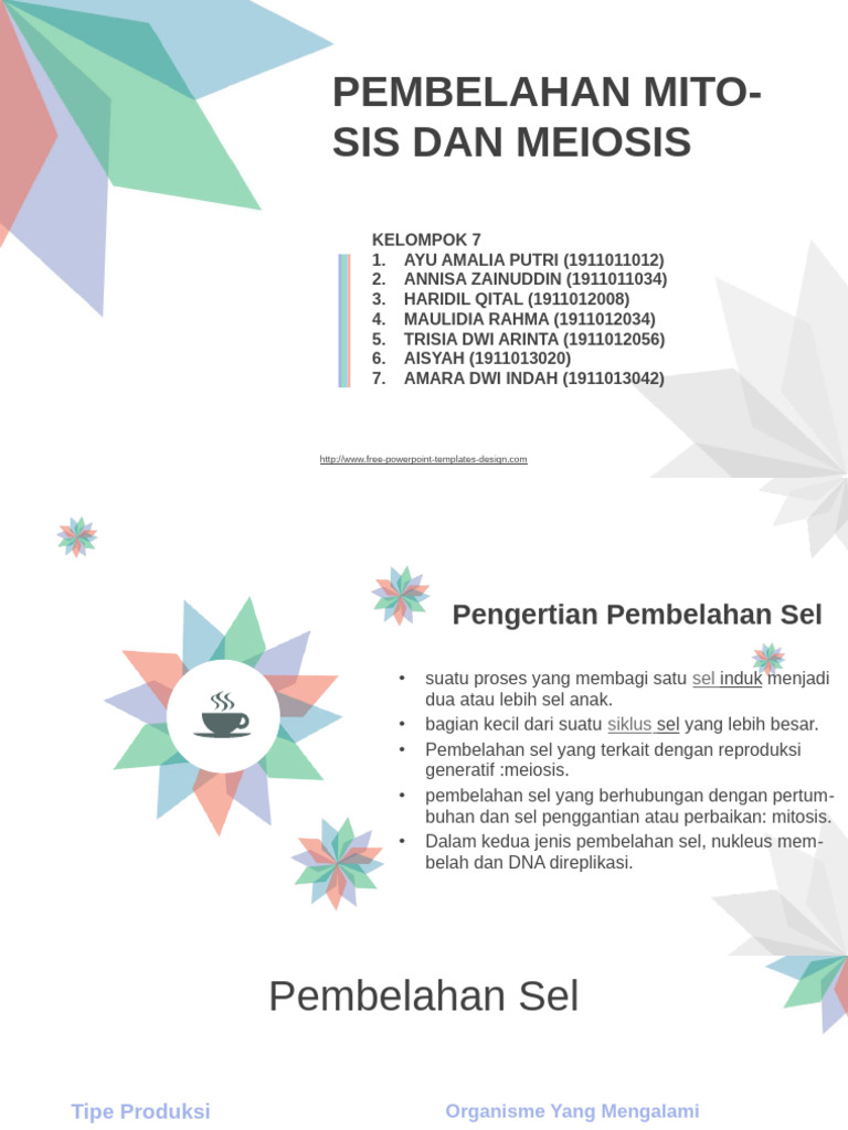 kp7.PEMBELAHAN Mitosis Dan Meiosis | PDF