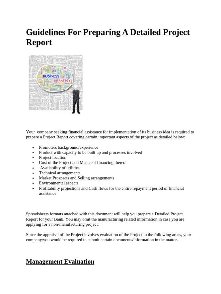Guidelines For Preparing A Detailed Project Report (DPR) | PDF | Debt ...
