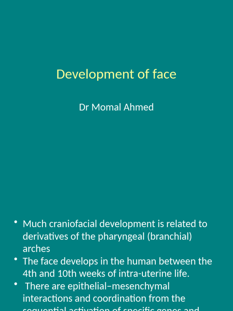 Development of Face | PDF | Human Nose | Anatomy
