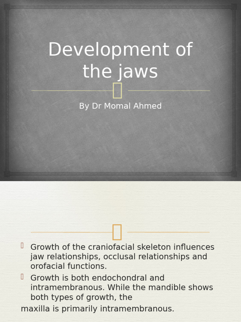 Development of The Jaws | PDF | Skeletal System | Human Head And Neck