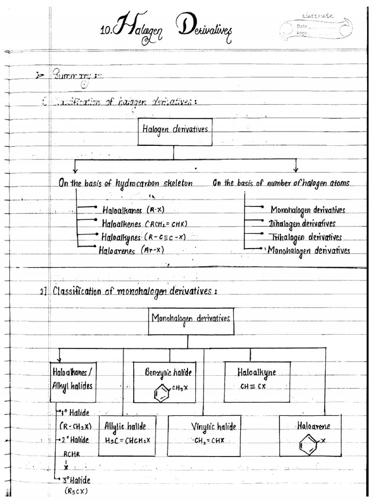 Chem 12th - 10 Halogen Derivatives - Imp Notes | PDF