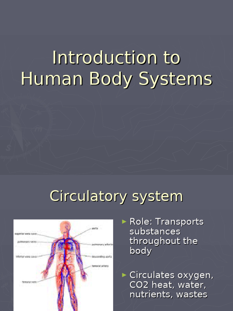 LESSON 5 Introduction To Human Body Systems | PDF | Human Body | Muscle
