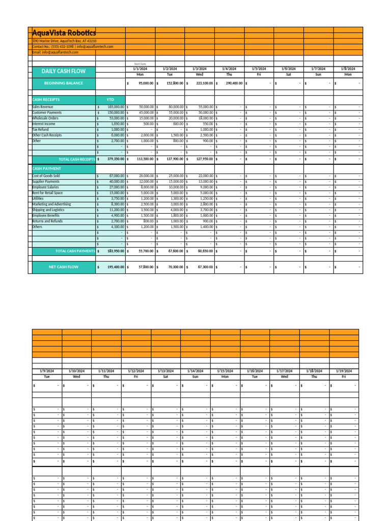Daily Cash Flow Template | PDF