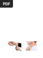 Bruce Protocol Stress Test | PDF | Treadmill | Physical Exercise