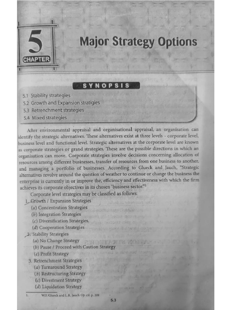 Major Strategy Options | PDF