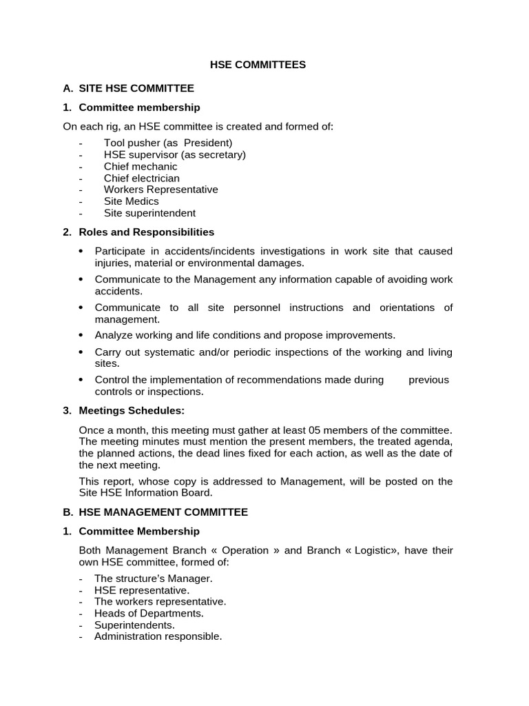 20 HSE Delegate & HSE Committee | PDF | Information | Safety