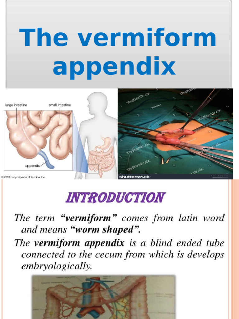 Appendix 1 | PDF