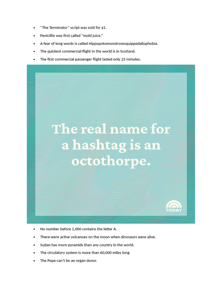 The Terminator | PDF