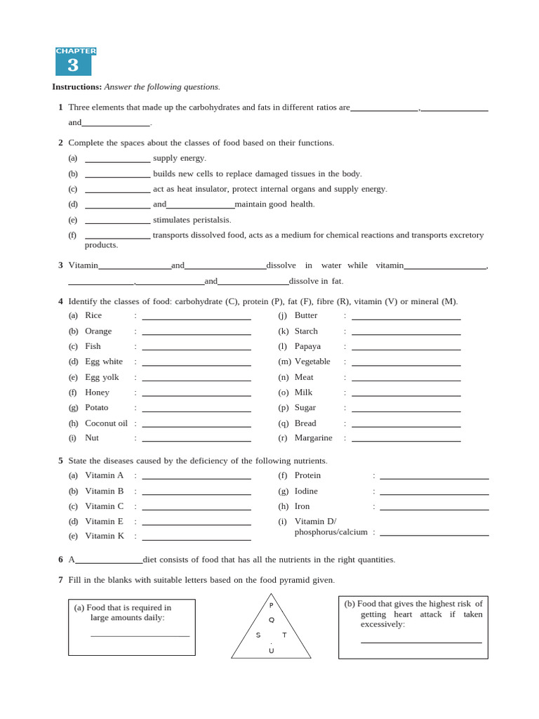 TP Chapter 3 | PDF | Digestion | Foods