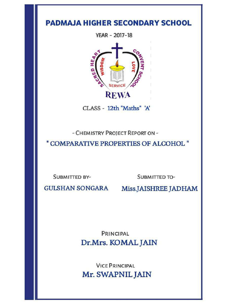 School Project Assignment Front Page Sample | PDF