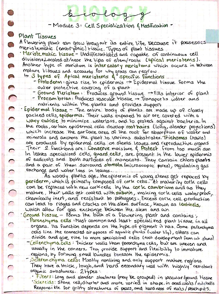 Module 3. Cell Specialization & Modification | PDF