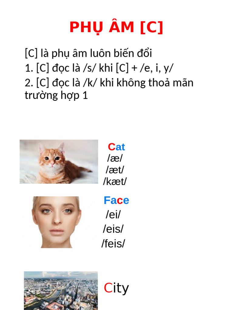 LESSON 3 Doc Er Ir Ur Va Phu Am C | PDF