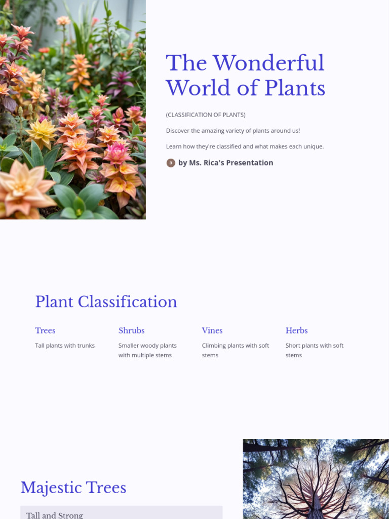 Grade 2 Science The Wonderful World of Plants | PDF | Home & Garden
