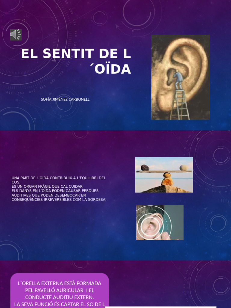 El seNTIT DE L OÏDA | PDF