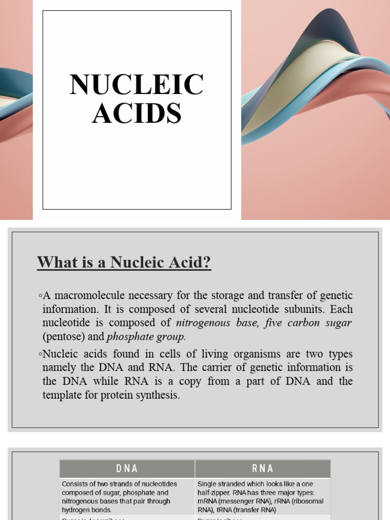 Lecture 11-Nucleic Acids | PDF | Genetic Code | Dna