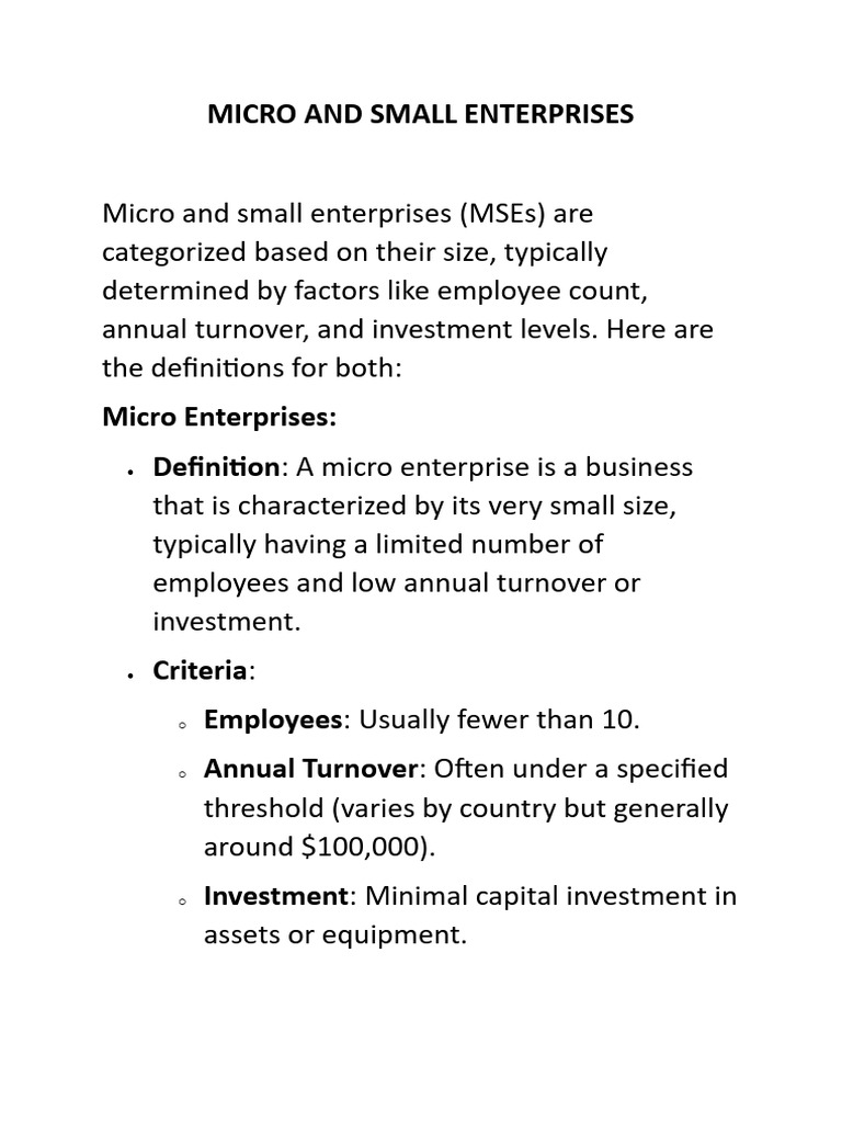 Micro vs. Small Enterprises Explained | PDF | Entrepreneurship | Microsoft