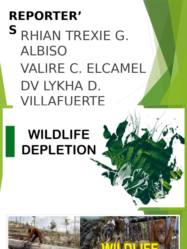 Understanding Wildlife Depletion Causes | PDF | Technology & Engineering