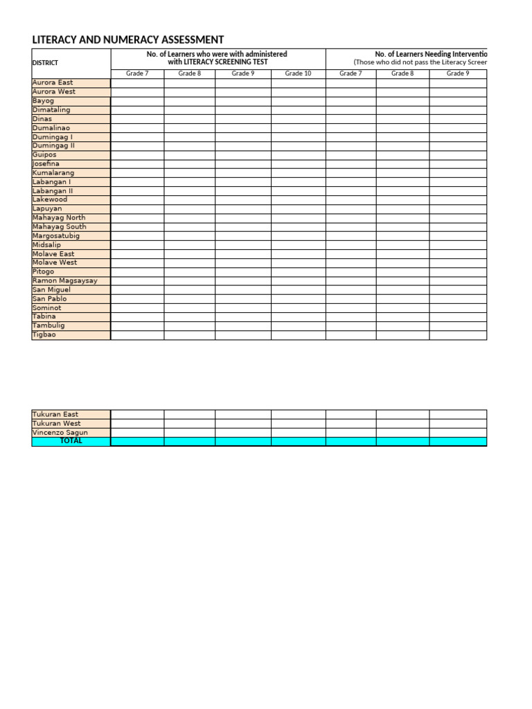 Literacy and Numeracy Assessment | PDF