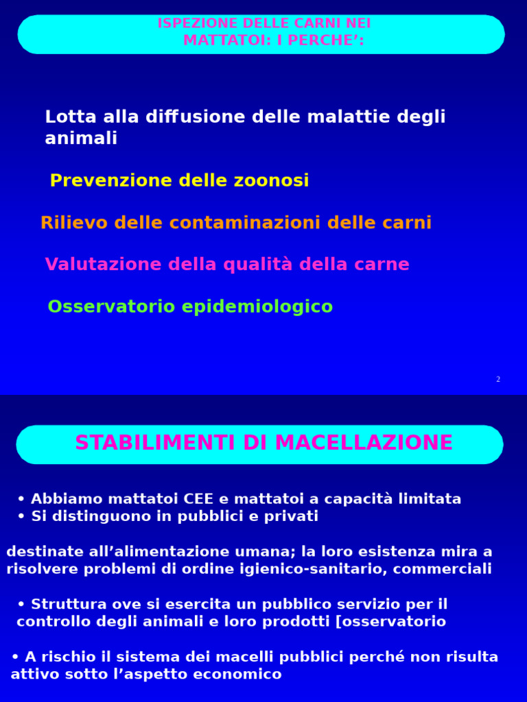 Ispezione Delle Carni Nei Mattatoi | PDF