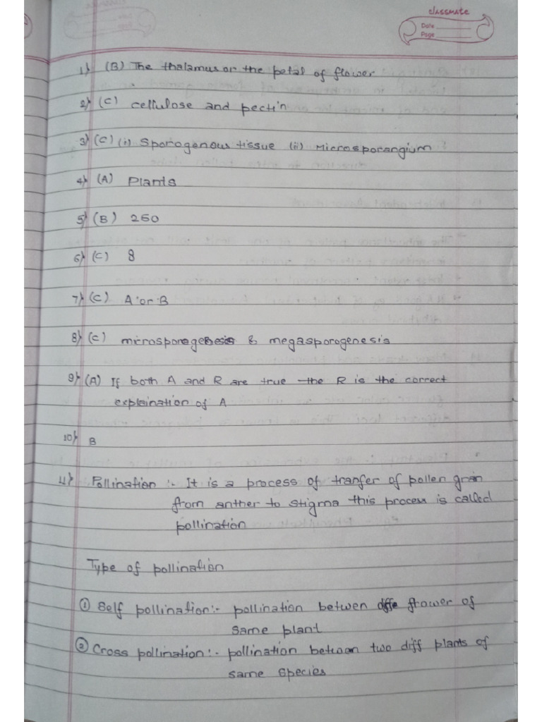 Biology 2 Pdf Plant Morphology Plants