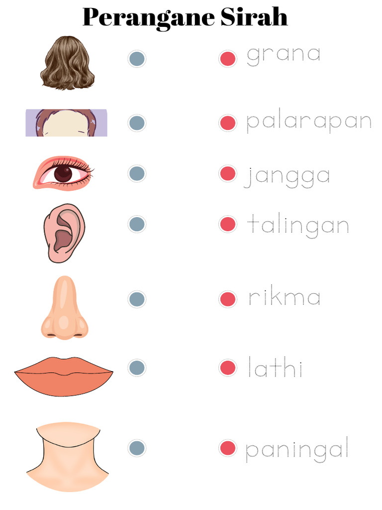 Bahasa Jawa Perangane Awak | PDF Bahasa Jawa Perangane Awak | PDF