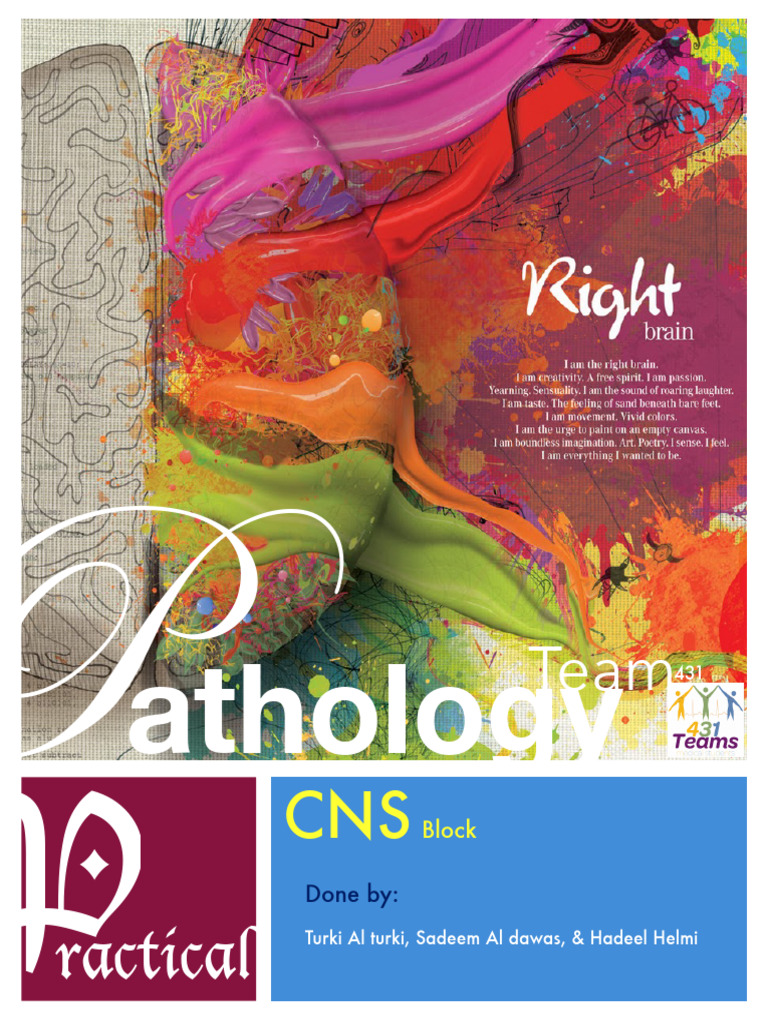 Pathology Practical | PDF | Cerebrospinal Fluid | Myelin