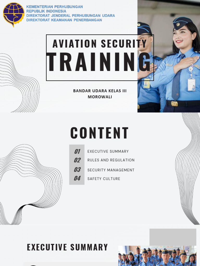 Aviation Security Training | PDF