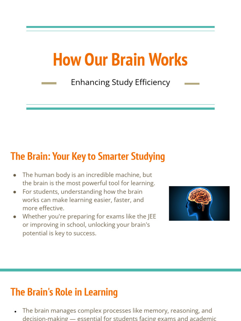 How Our Brain Works | PDF | Memory | Learning