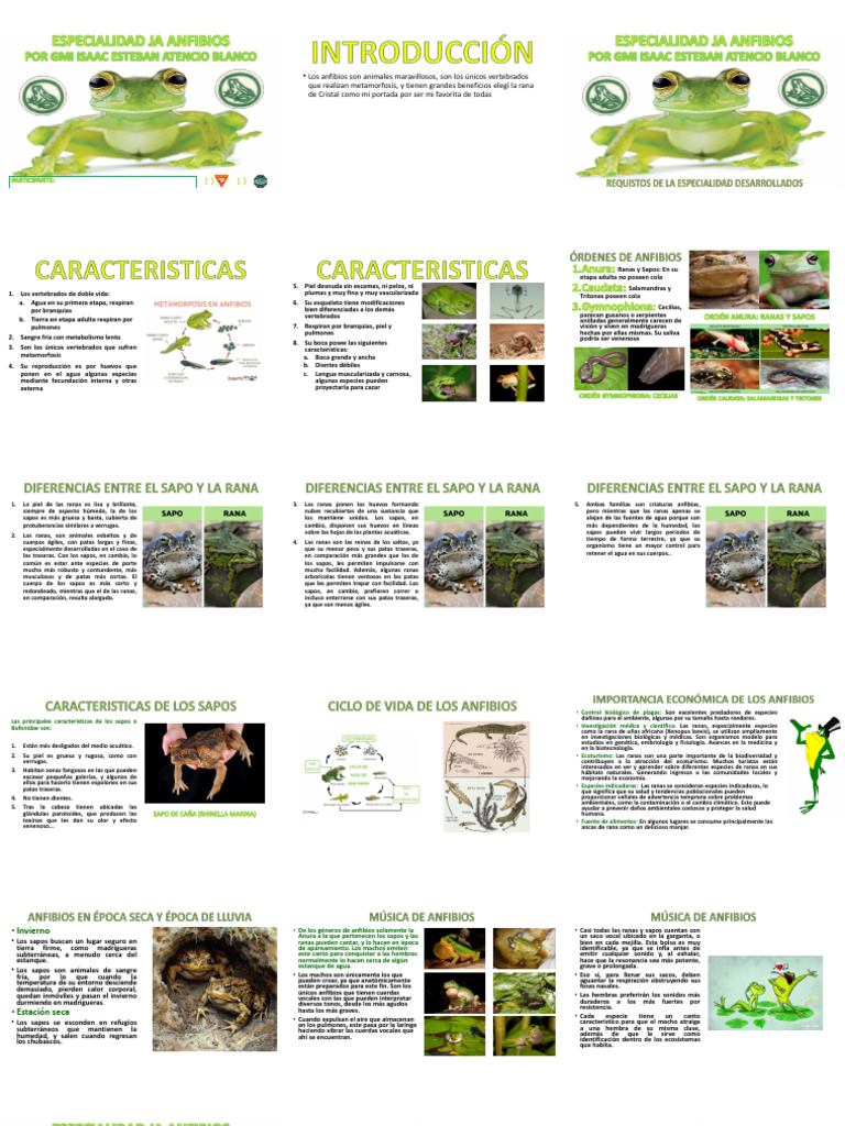 ESPECIALIDAD JA ANFIBIOS 1 DESARROLLADA Edicion para Imprmir | PDF ...