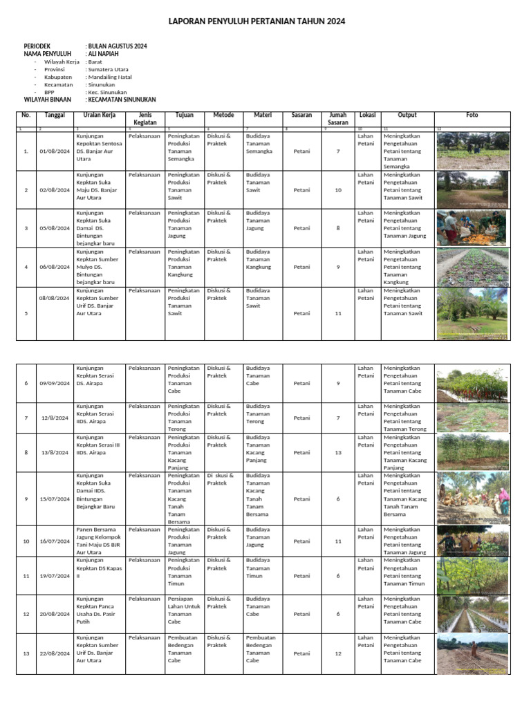 Laporan Penyuluh Pertanian Tahun 2024 Ali Napiah | PDF