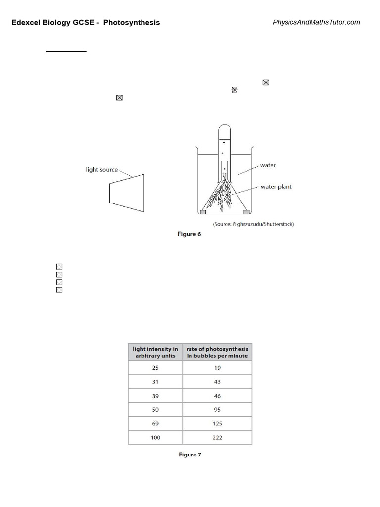 Photosynthesis GcSe Practice SQ | PDF | Photosynthesis | Plants