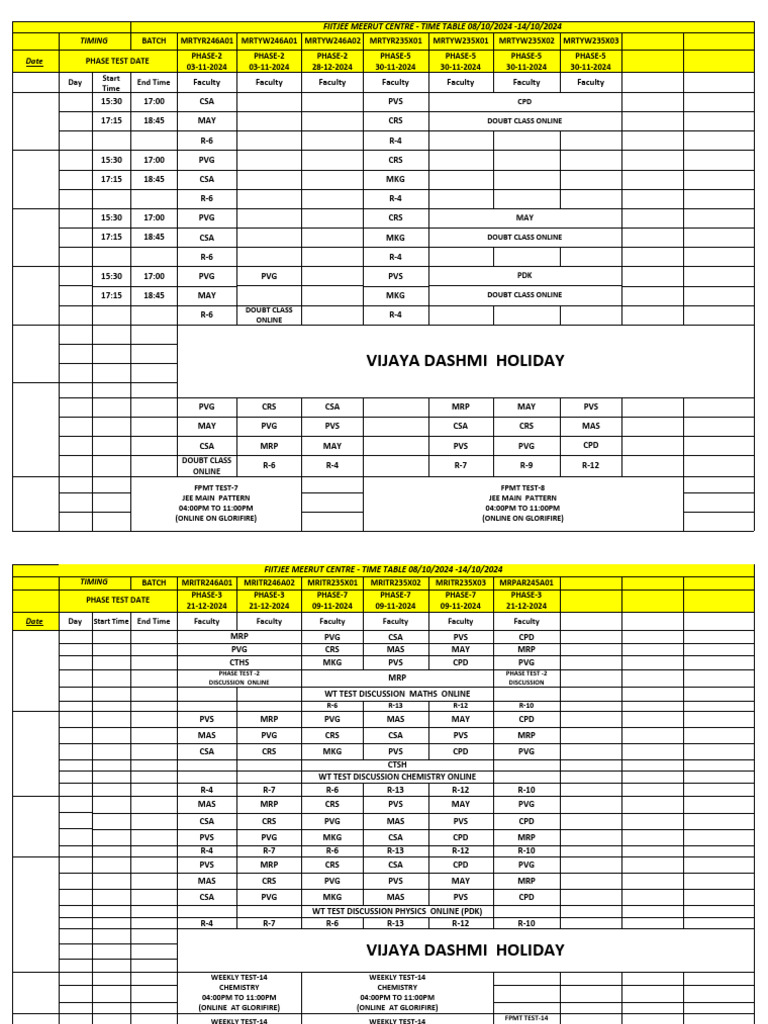 FIITJEE Meerut Timetable Overview | PDF