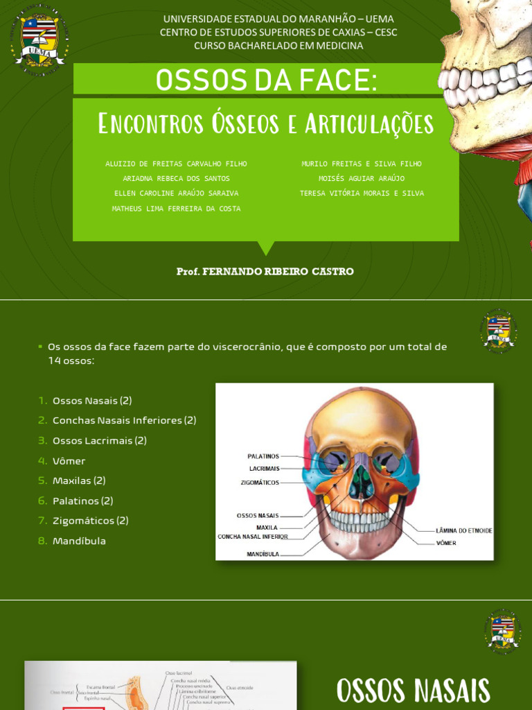 OSSOS DA FACE | PDF | Sistema Esquelético | Anatomia humana