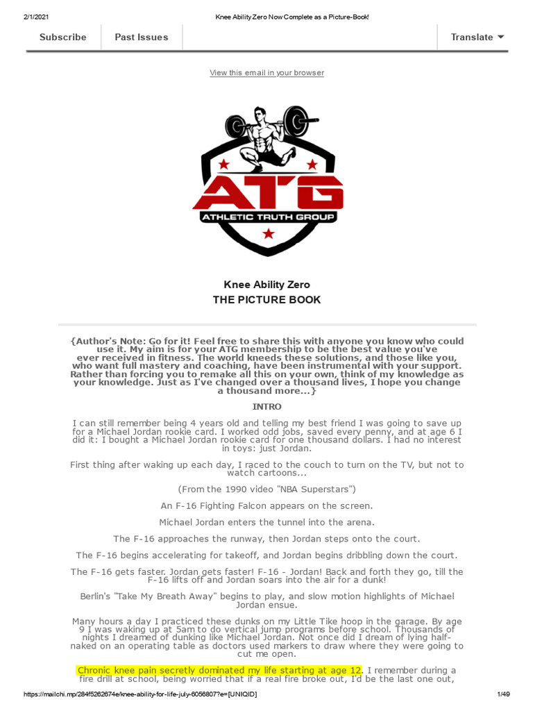 Knee Ability Zero - 123123 | PDF