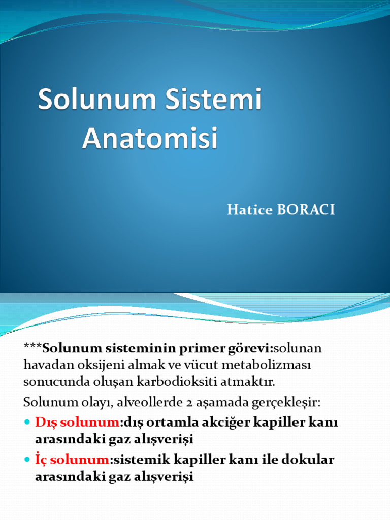 Solunum Sistemi SBF 2020 PDF | PDF