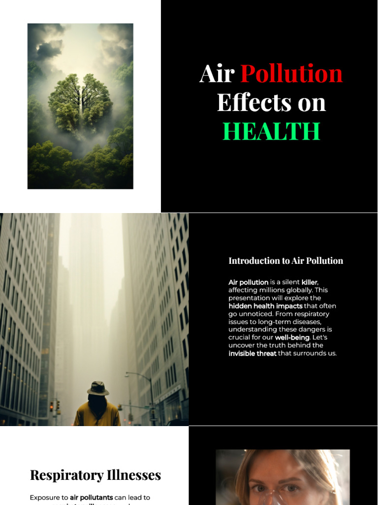 Health Risks of Air Pollution | PDF | Science & Mathematics