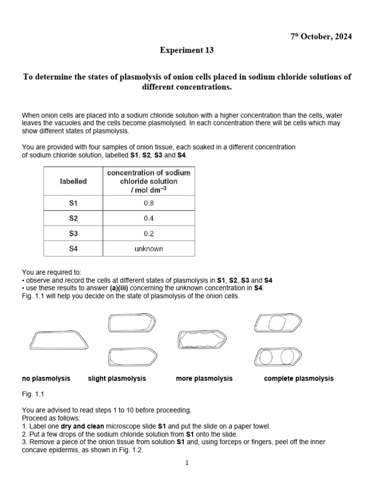 Experiment 13 | PDF | Sodium