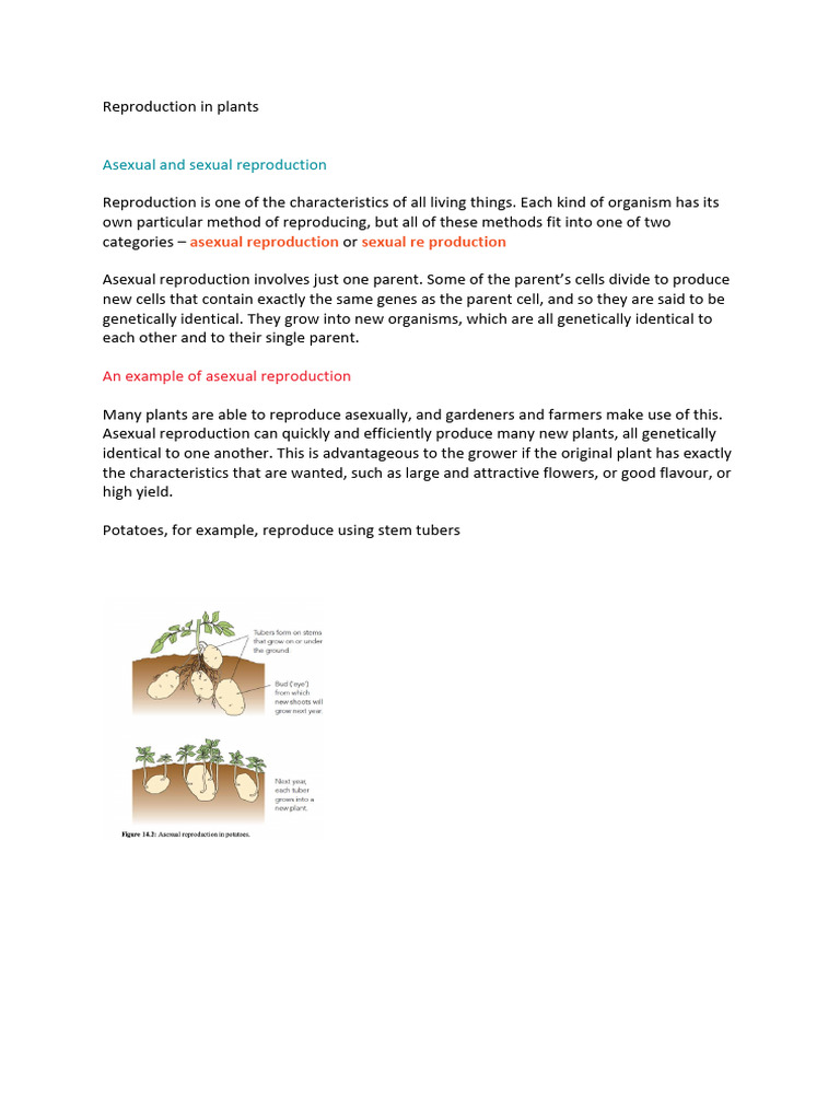 Plant Reproduction: Asexual vs. Sexual | PDF | Sexual Reproduction ...